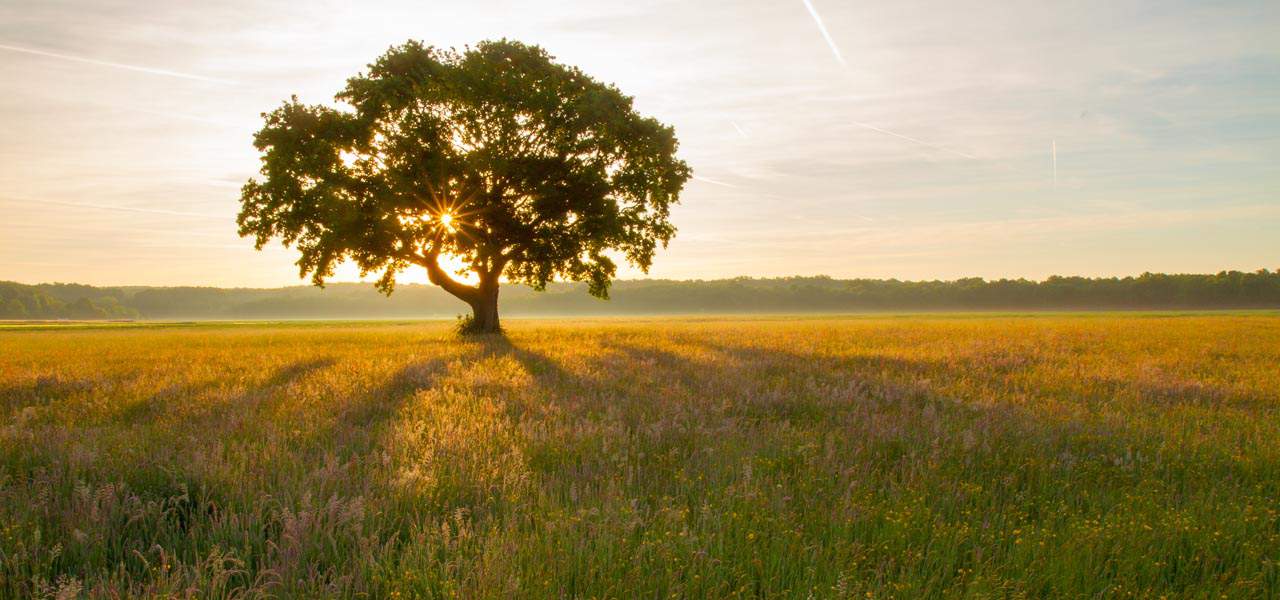 Counselling Services Footscray Mill Park & Geelong | Safe Place Therapy