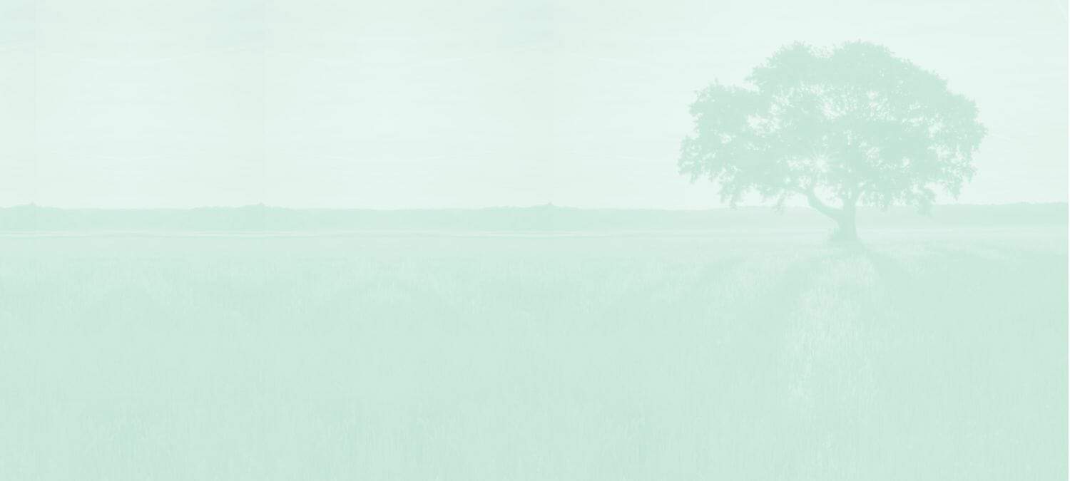 Client Hub - Safe Place Therapy